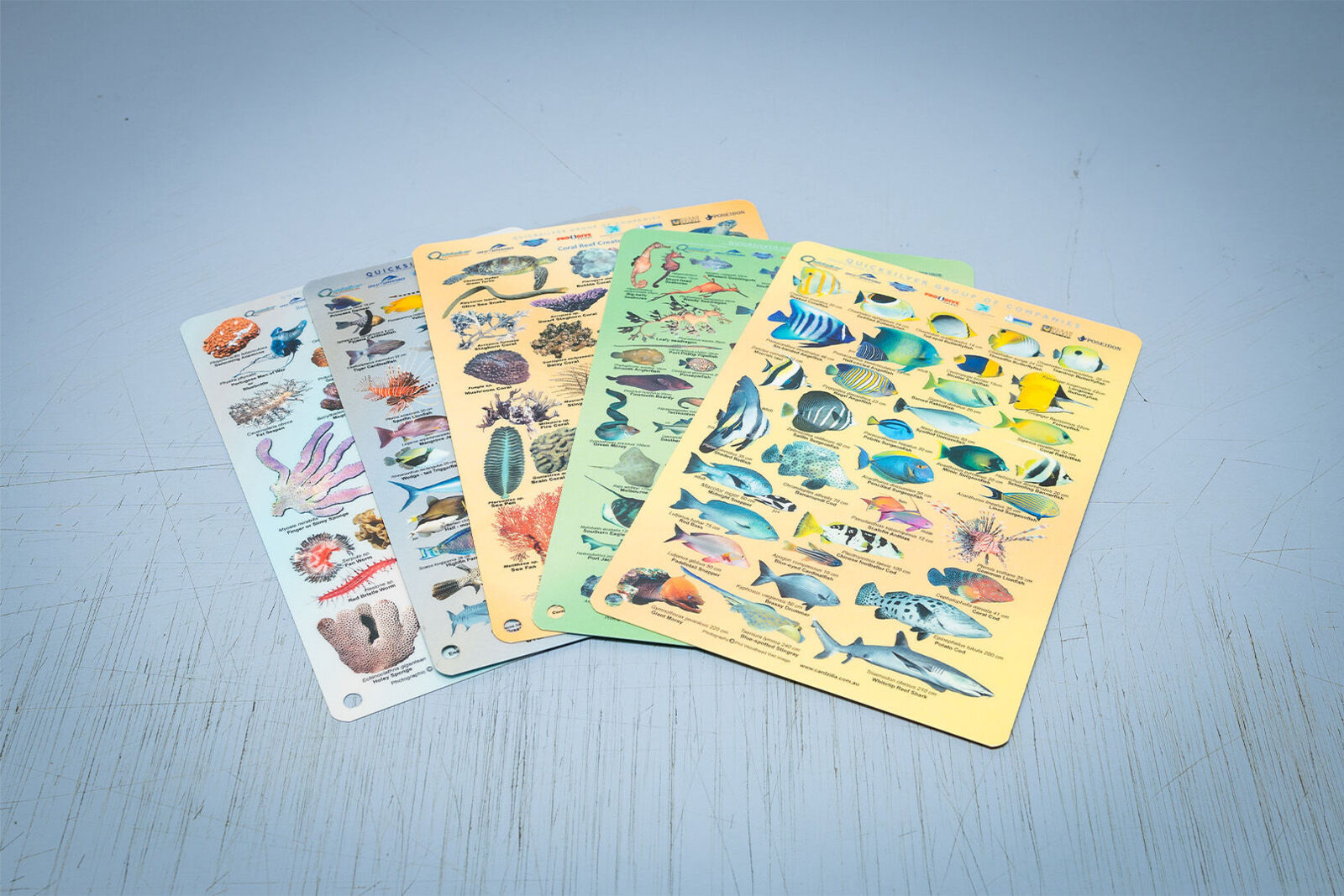 Customised Dive Products • Cardzilla